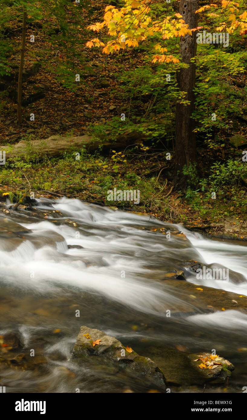 Flowing Stream with Autumn Colors Stock Photo - Alamy