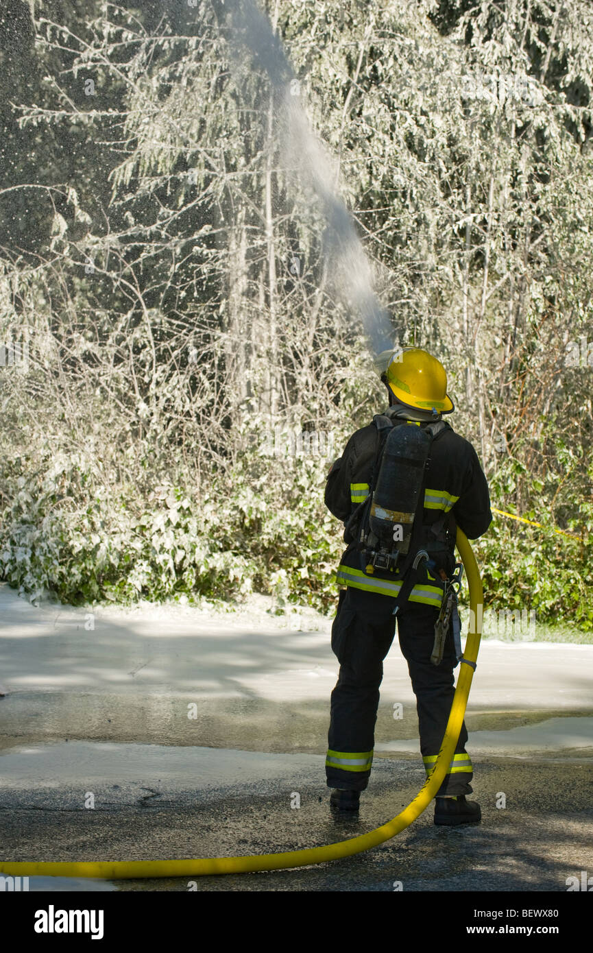 firemen using fire retardant on trees Stock Photo - Alamy firemen using fire retardant on trees Stock Photo - Alamy