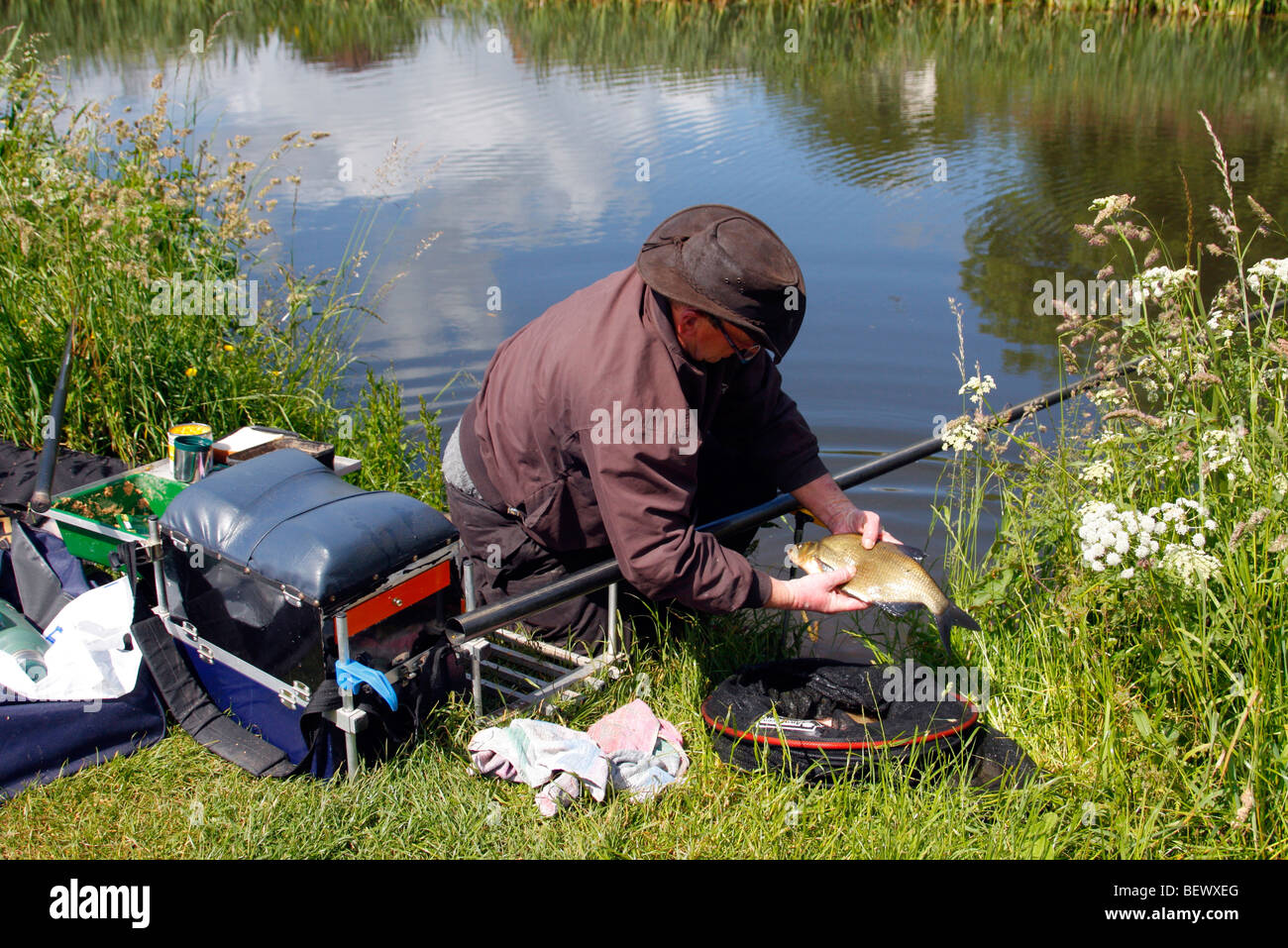 Catching Bream in the Grand Western Canal, Mid Devon Stock Photo - Alamy
