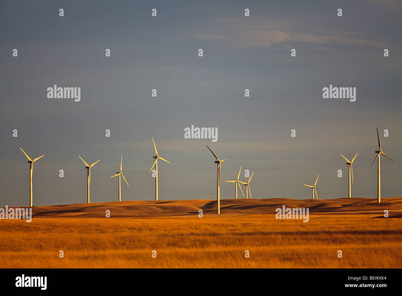 Ethridge montana hi-res stock photography and images - Alamy