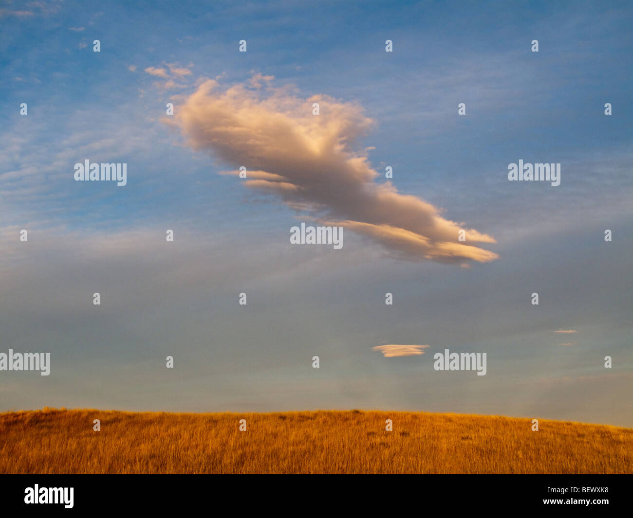 Clouds at sunset over wheat field, Ethridge, Montana, USA Stock Photo ...