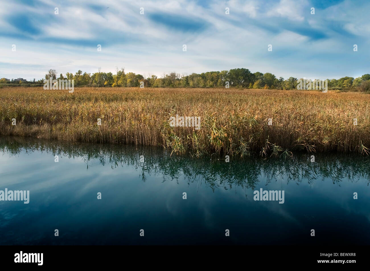 Marsh sunset landscapes hi-res stock photography and images - Alamy
