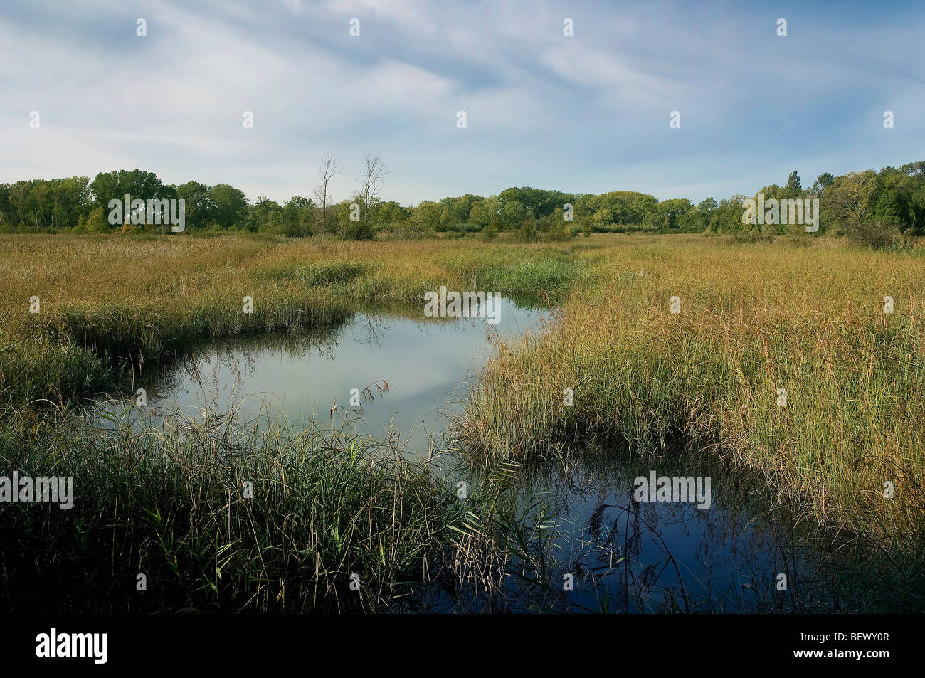 Landscape preservation hi-res stock photography and images - Alamy