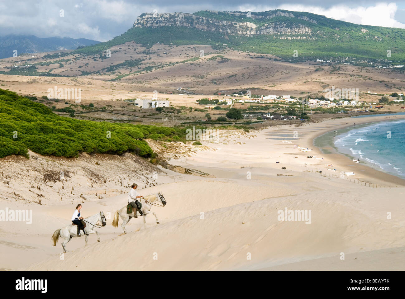 Bolonia hi-res stock photography and images - Alamy