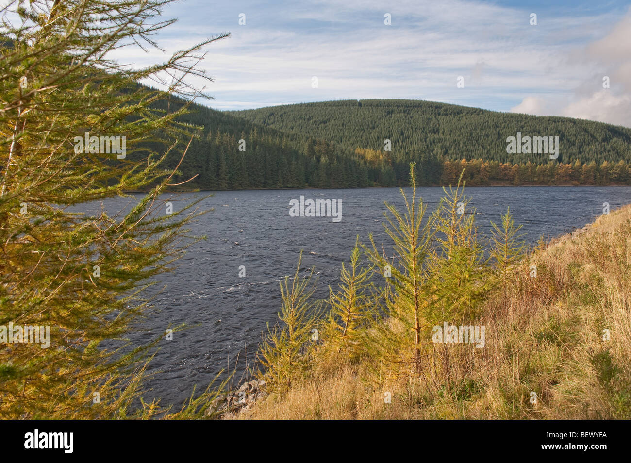 Drinking water talla water hi-res stock photography and images - Alamy