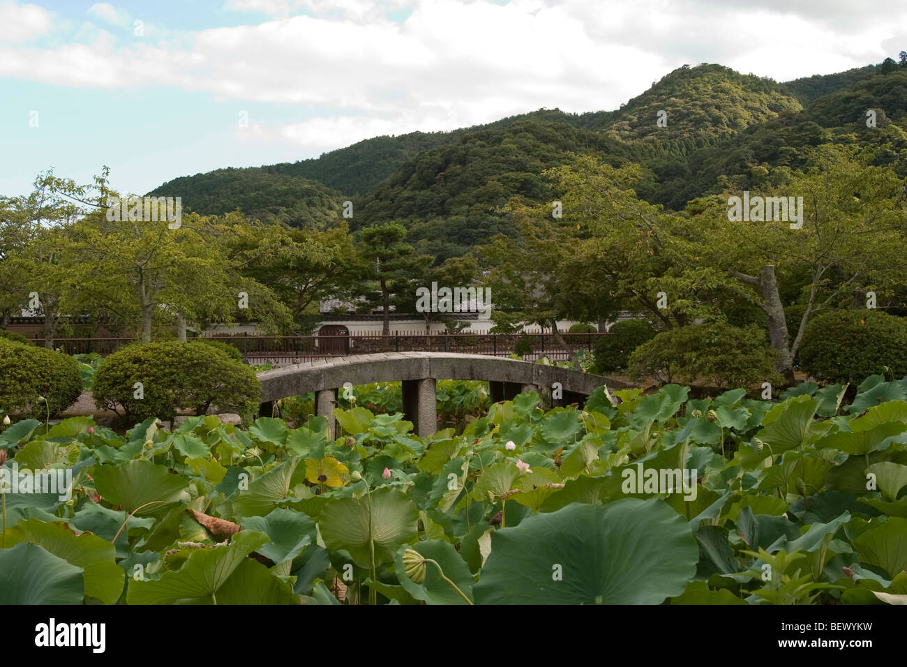 Tenryu-ji temple in Kyoto, Japan Stock Photo - Alamy