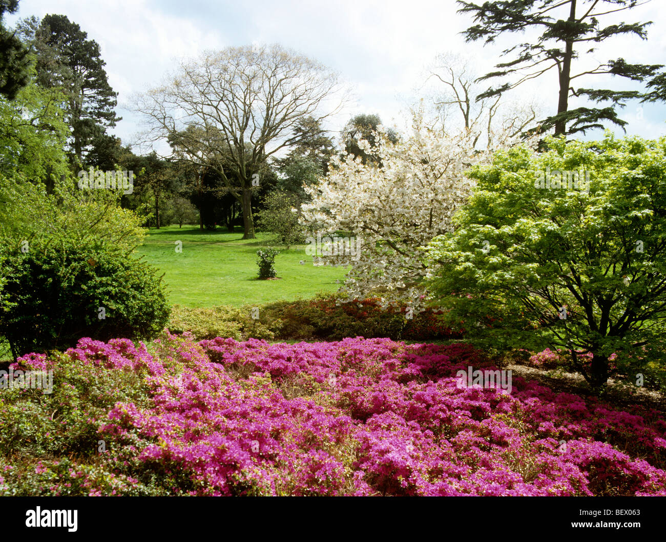 UK, England, London, Kew Gardens in Springtime Stock Photo - Alamy