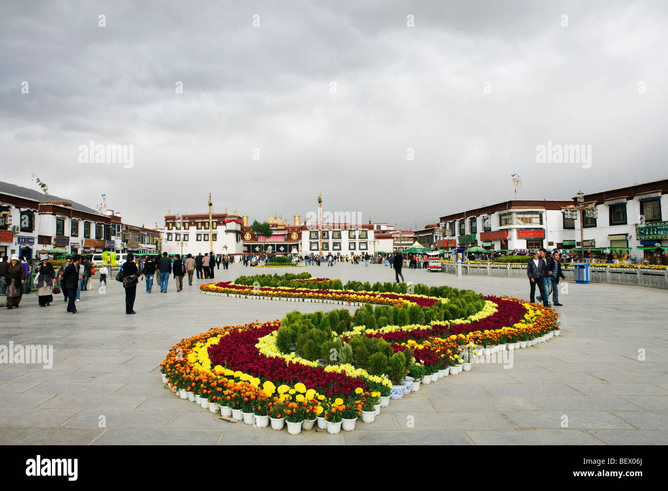 Tibet flowers hi-res stock photography and images - Alamy