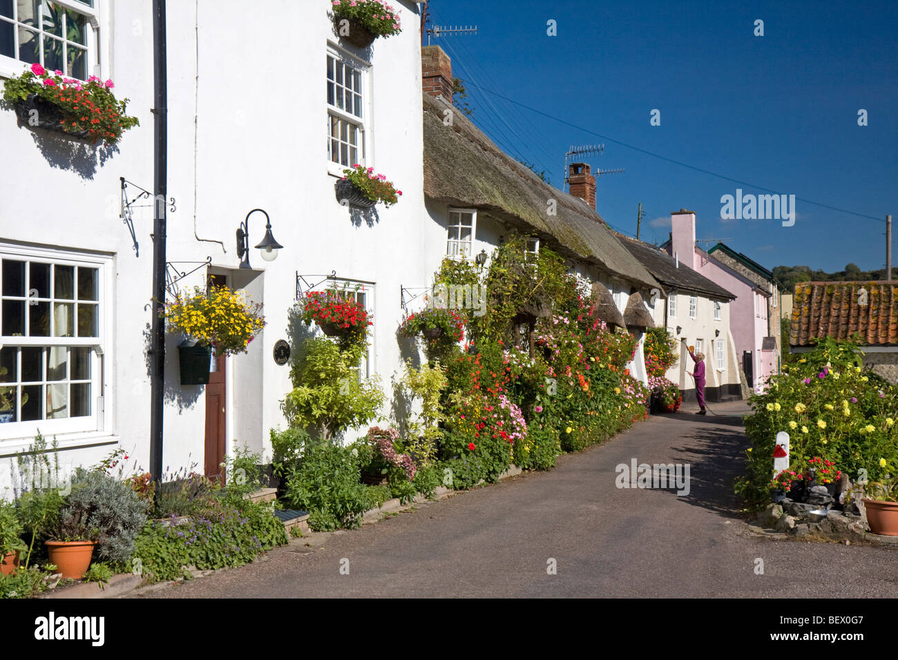 Devon cottages hi-res stock photography and images - Alamy