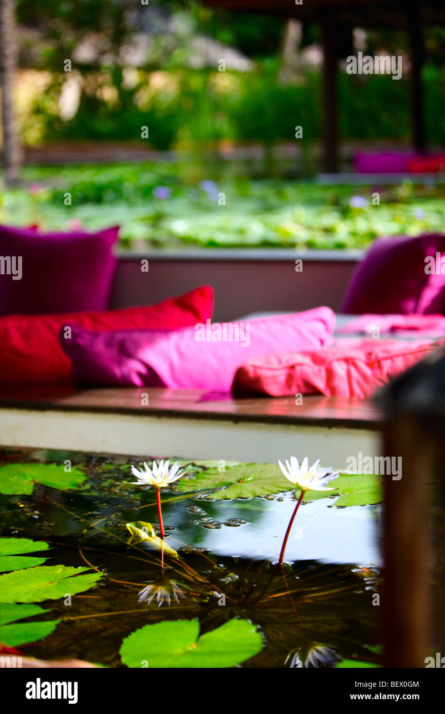 Aquatic restaurant hi-res stock photography and images - Alamy