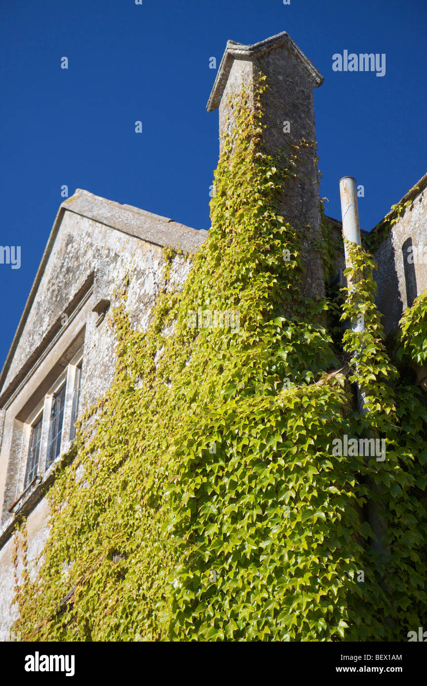 Medieval zoo hi-res stock photography and images - Alamy