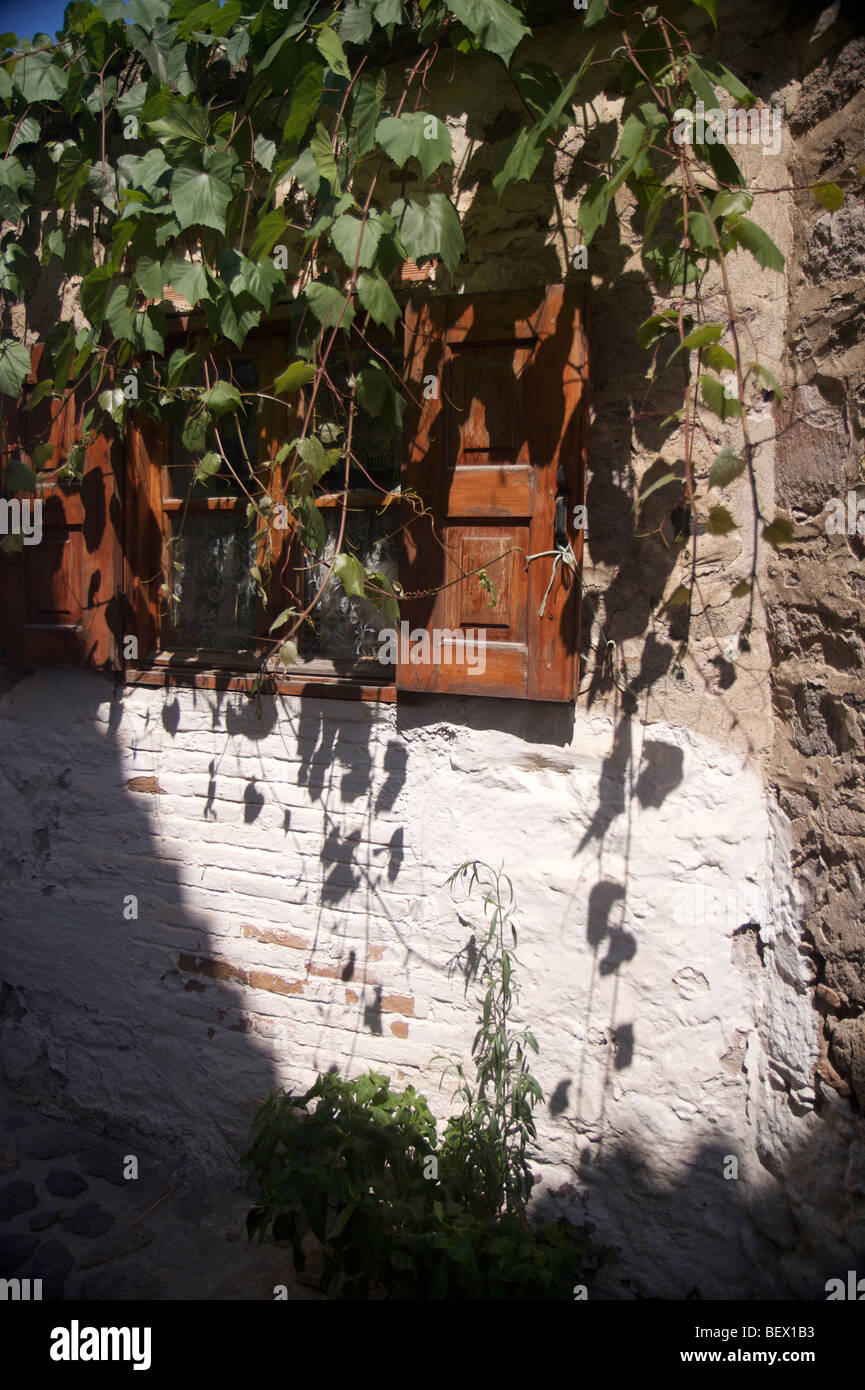 Marwell hall hampshire hi-res stock photography and images - Alamy