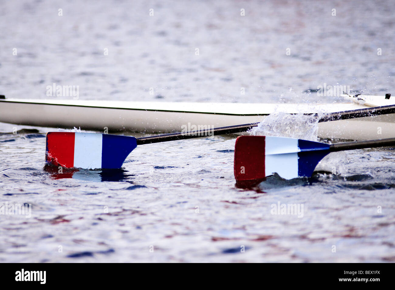two blades of a racing boat splashing in the water during a rowing ...