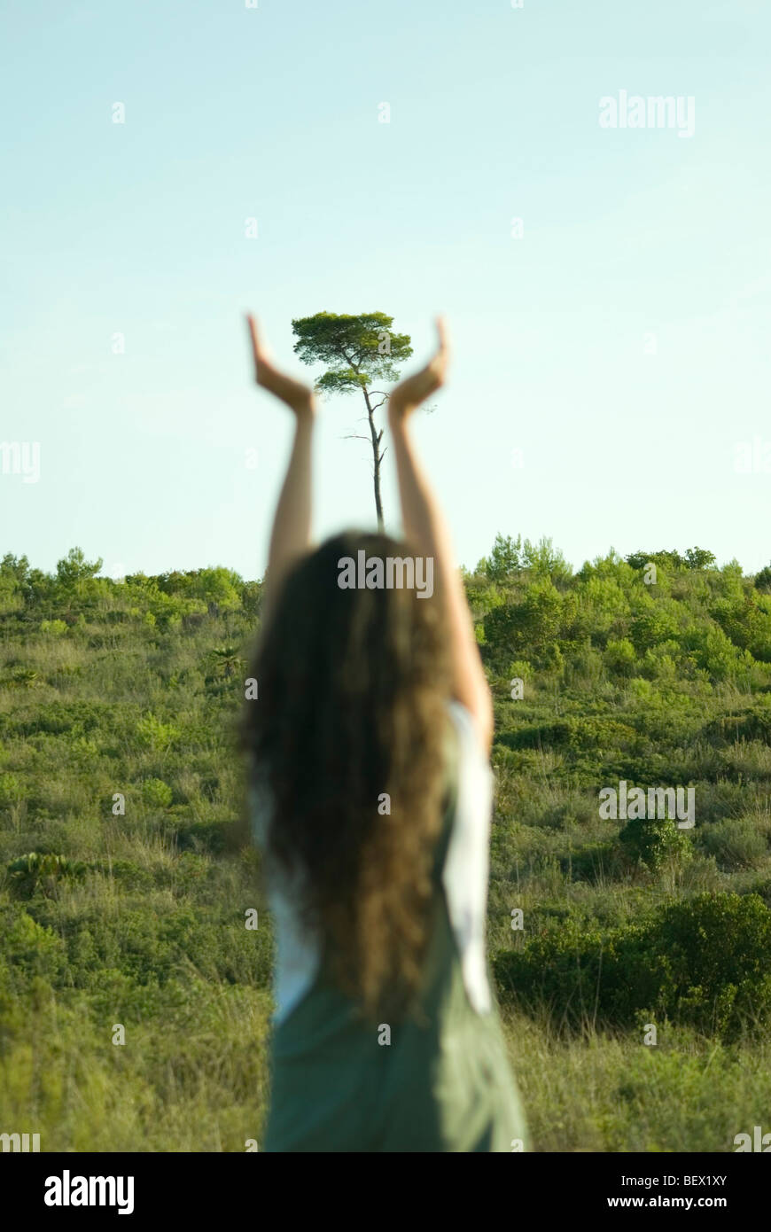 girl protecting and helping a tree Stock Photo - Alamy