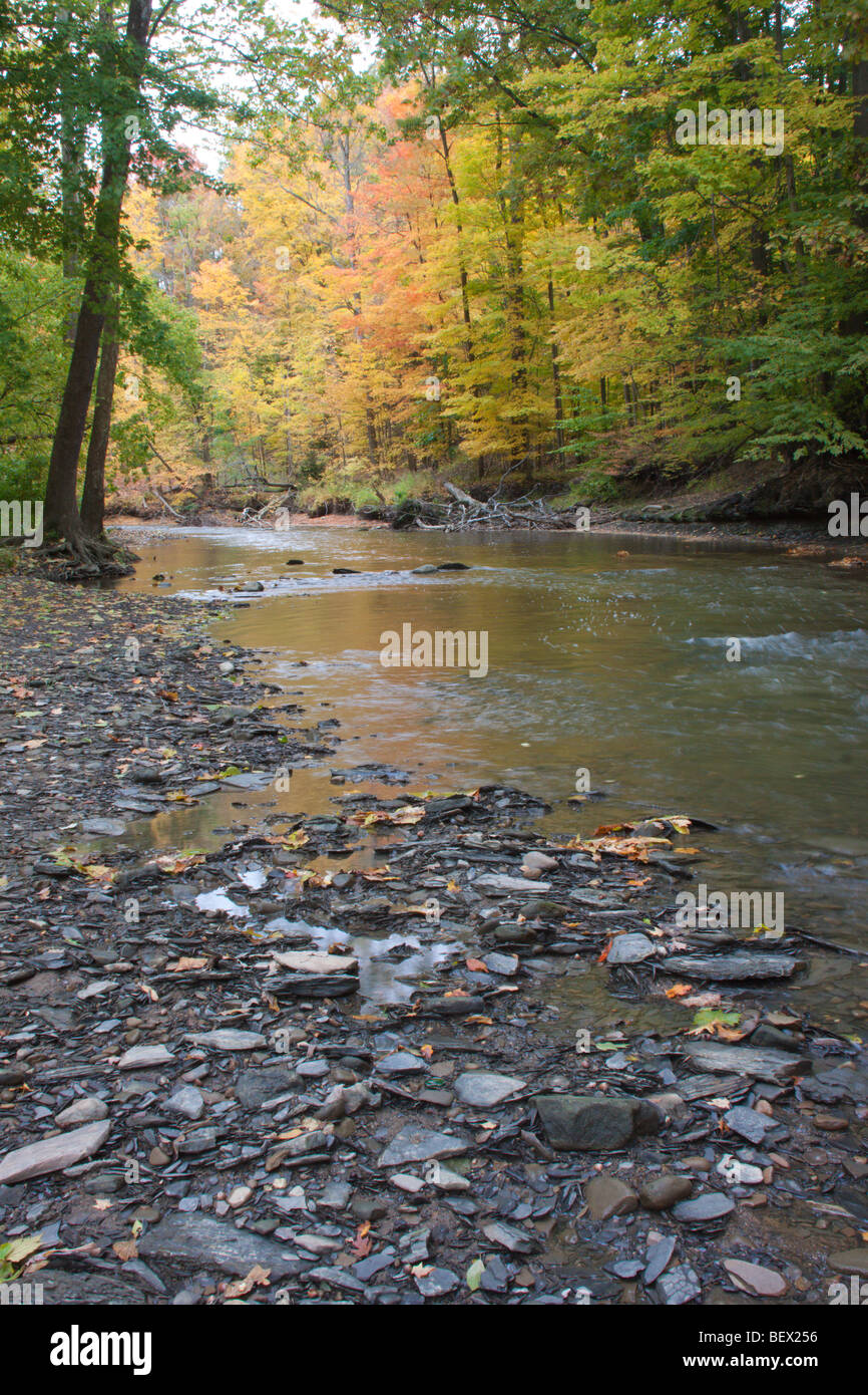 Fall foliage along the Rocky River, Ohio Stock Photo - Alamy