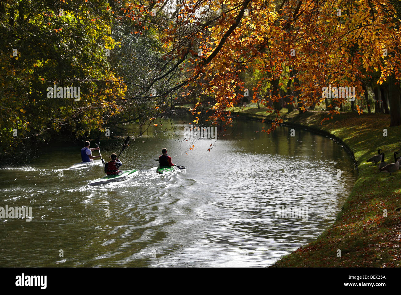 Water meadows cherwell hi-res stock photography and images - Alamy