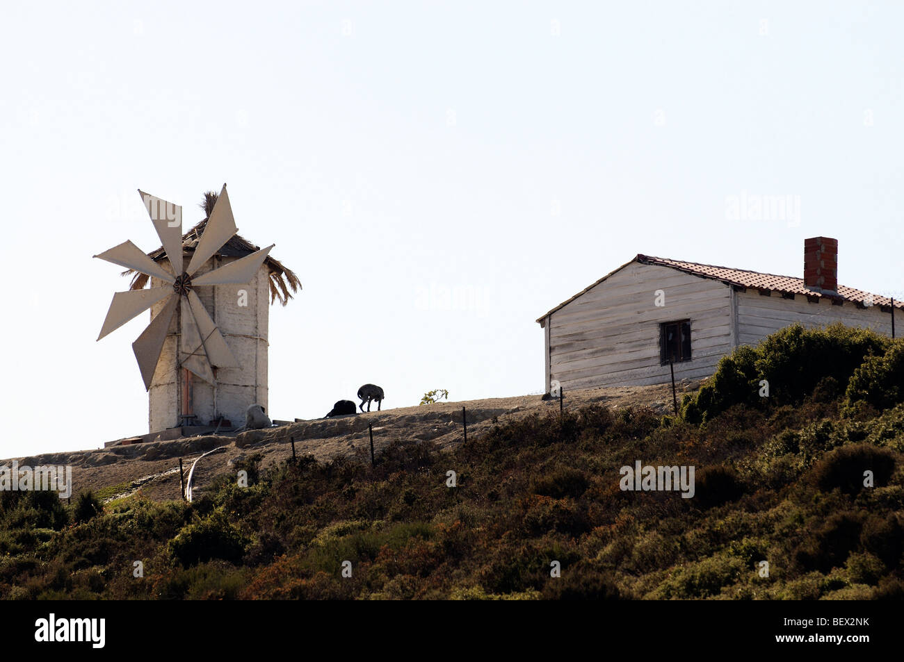 Northern european farming hi-res stock photography and images - Alamy