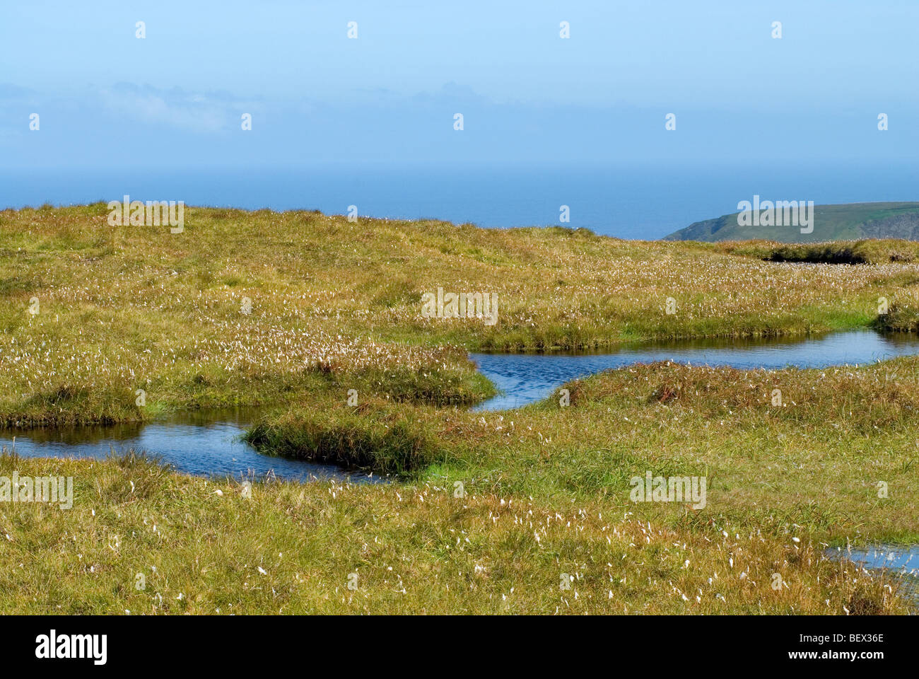 Landscape on Unst in the Shetland Islands off Scotland Stock Photo - Alamy