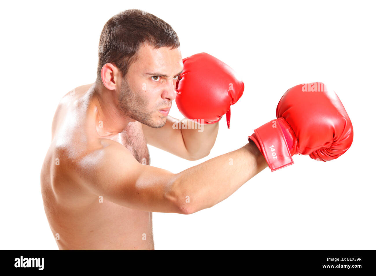 Boxer in action isolated on white background Stock Photo - Alamy