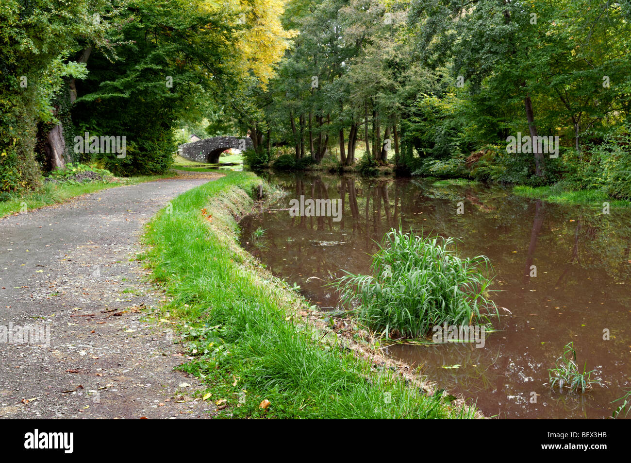 Old stone bridge 134 on the Monmouth and Brecon Canal taken at ...