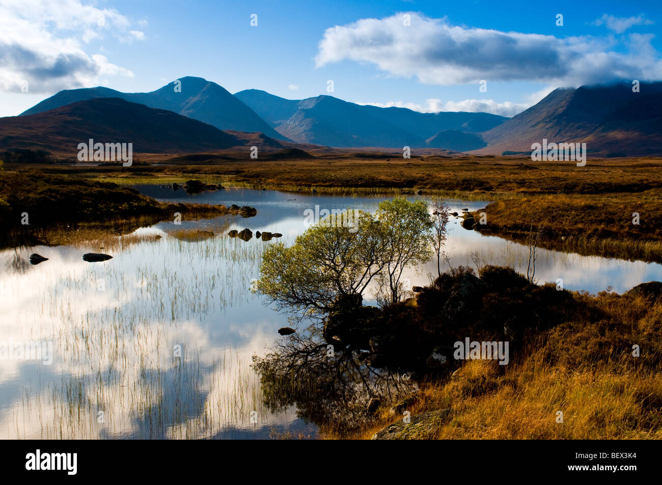 The open bleak landscape across Blackmount Rannoch Moor, Scotland. SCO ...
