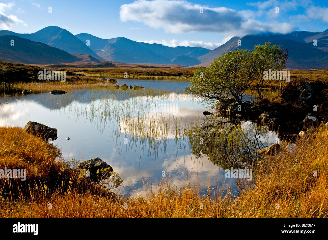 The open bleak landscape across Blackmount Rannoch Moor, Scotland. SCO ...