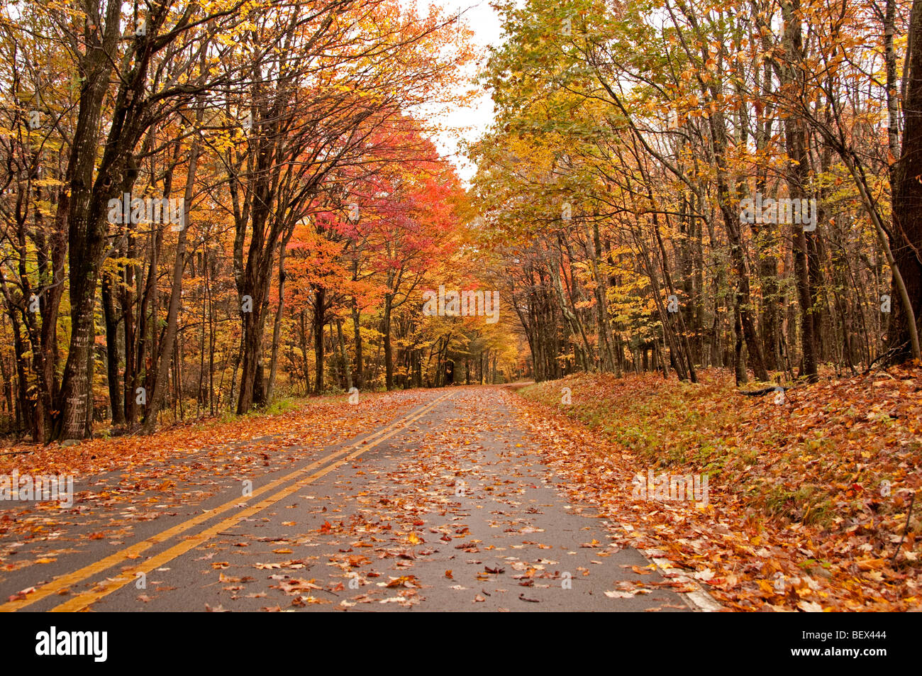 Grayson highlands state park hi-res stock photography and images - Alamy