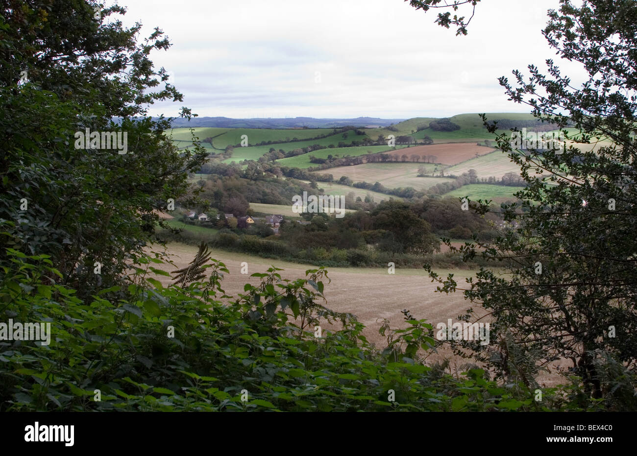 A view of the Dorset countryside from a raised footpath Stock Photo - Alamy
