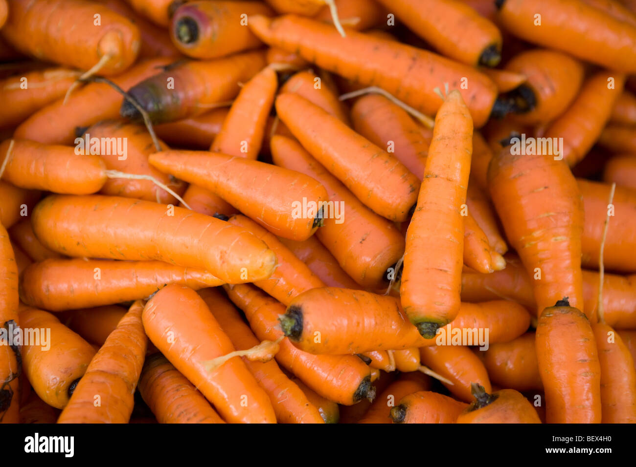 Raw carrots on tray hi-res stock photography and images - Alamy