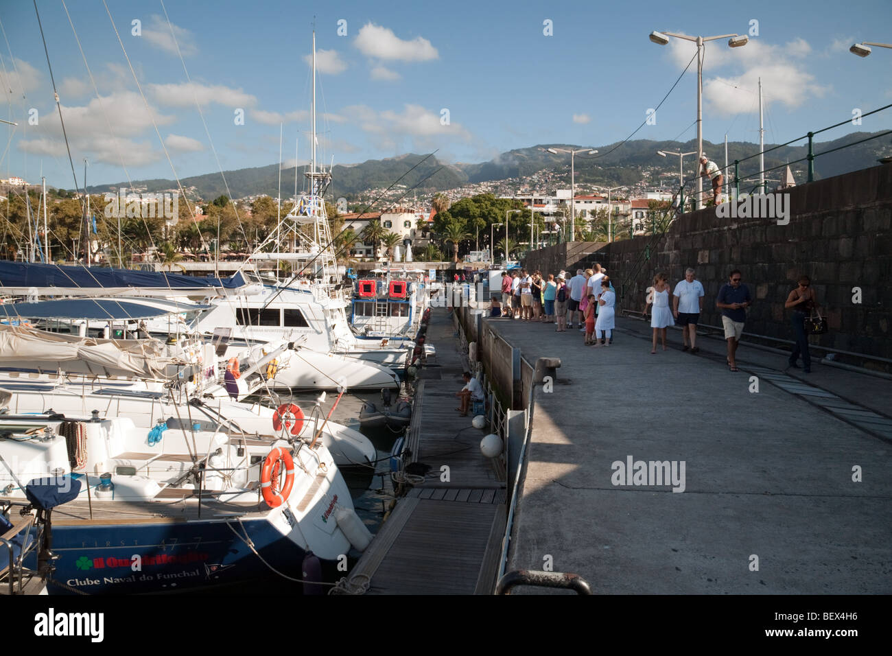 A view in the marina, Funchal, Madeira Stock Photo - Alamy