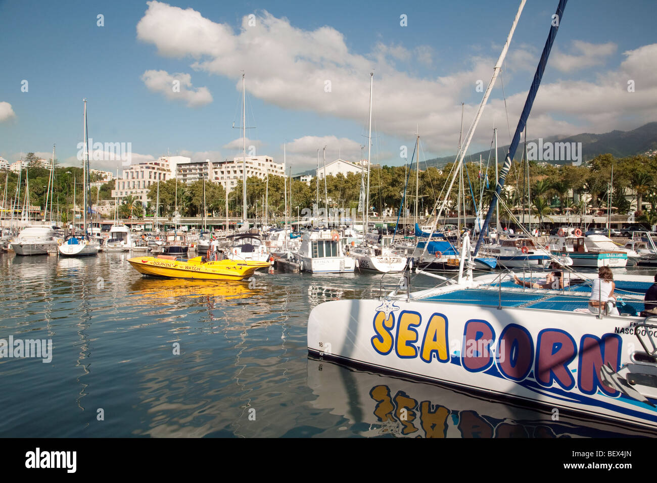 A view in the marina, Funchal, Madeira Stock Photo - Alamy