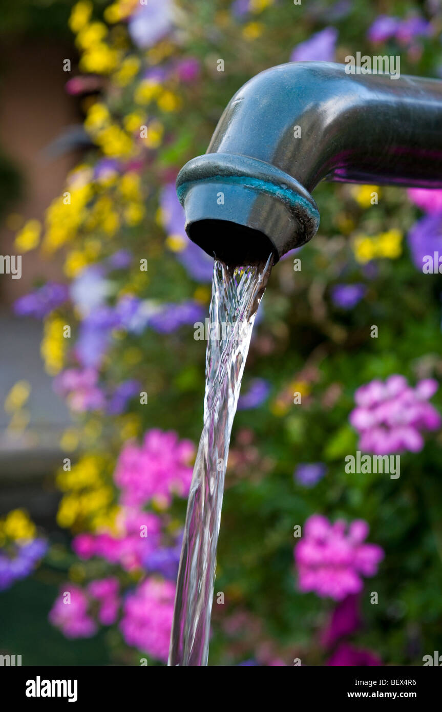 Water fountain spout with clear water flowing and colourful floral ...