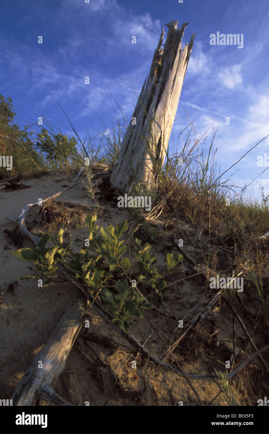 Pinery provincial park ontario hi-res stock photography and images - Alamy