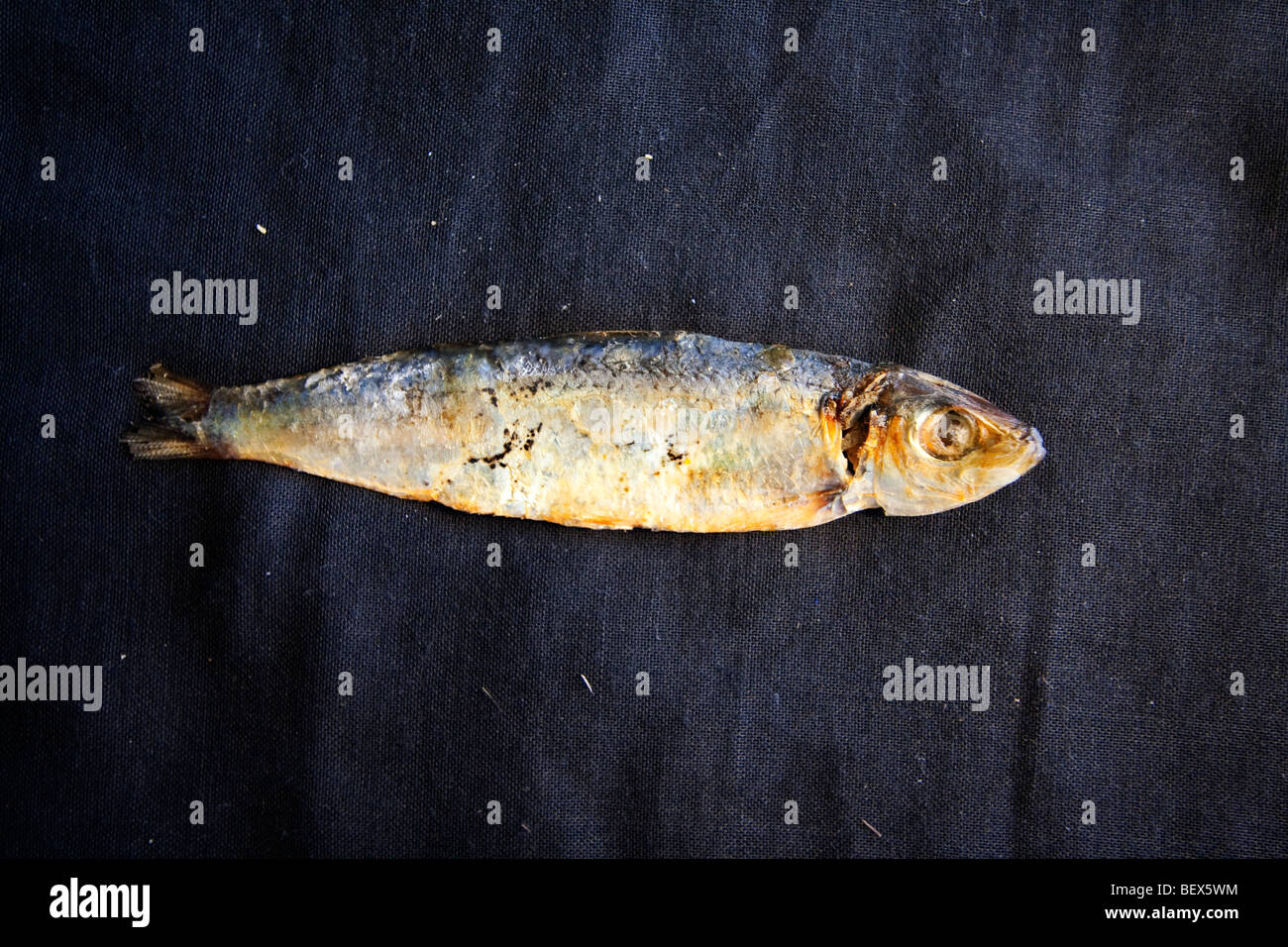 Dried fish still life Stock Photo - Alamy
