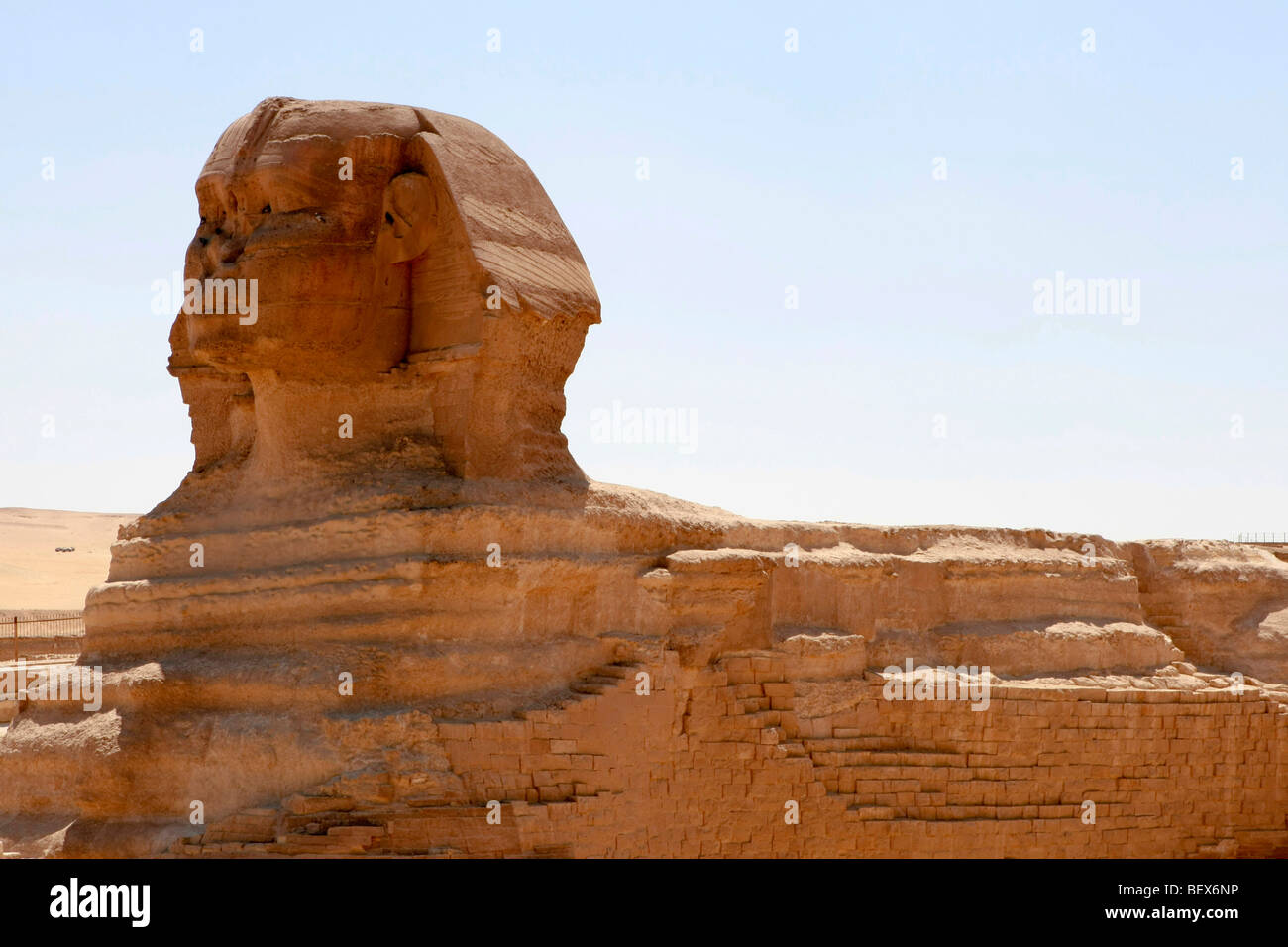 The Sphinx at Giza, near Cairo, Egypt Stock Photo - Alamy