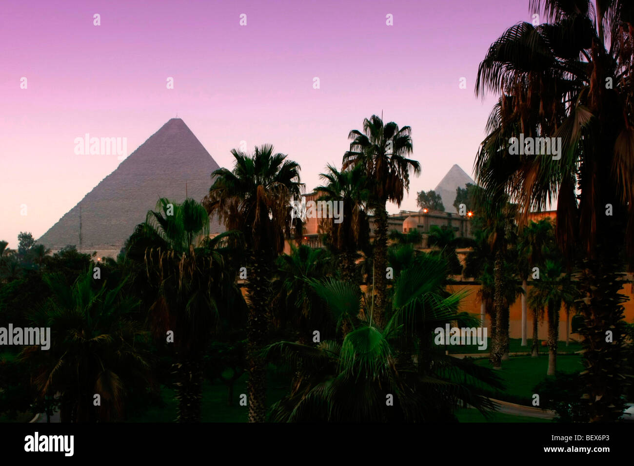 The Pyramids of Giza from the Mena House Hotel, Giza, Egypt Stock Photo ...