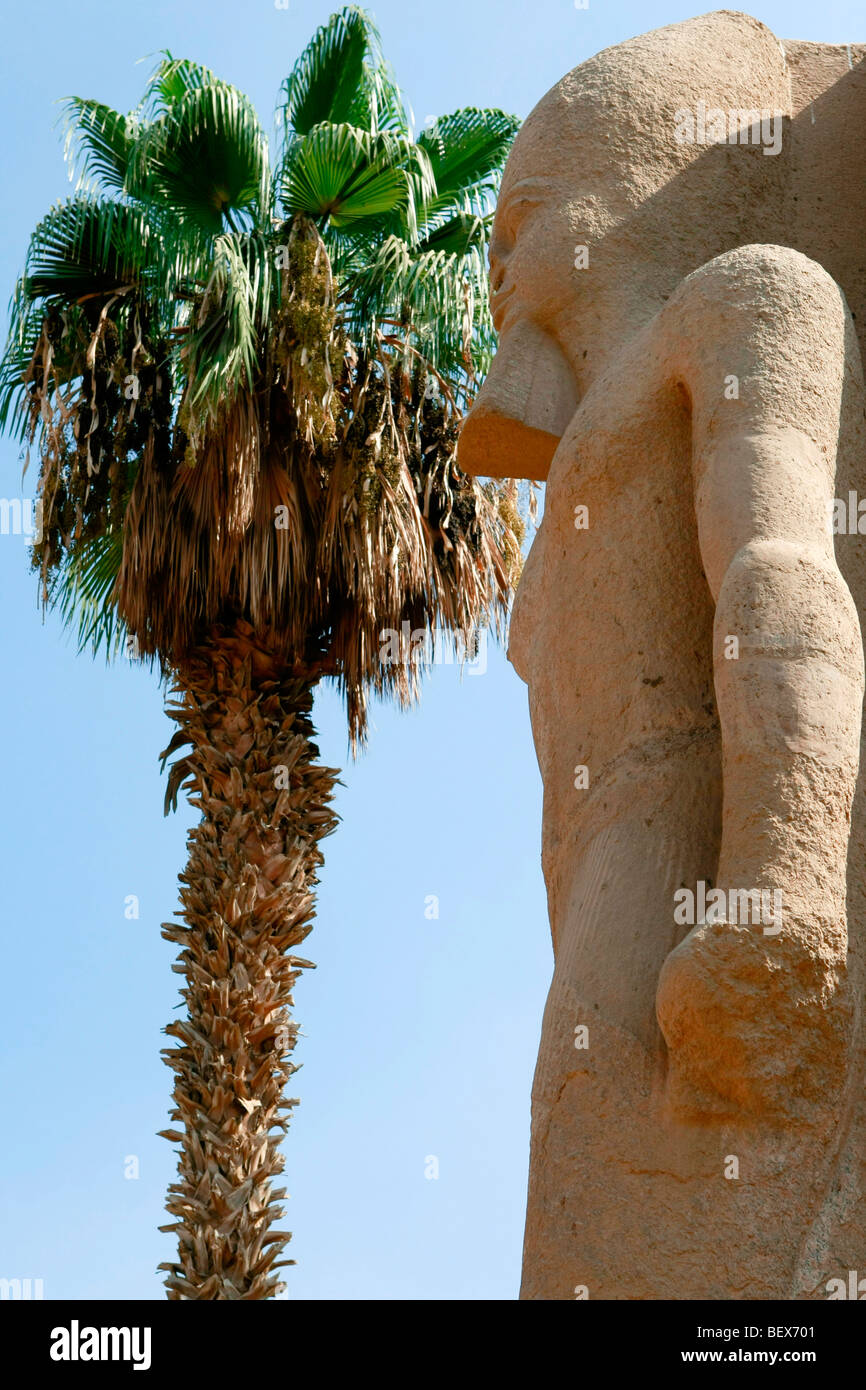 The Stela of Apries at Memphis, near Cairo, Egypt Stock Photo - Alamy