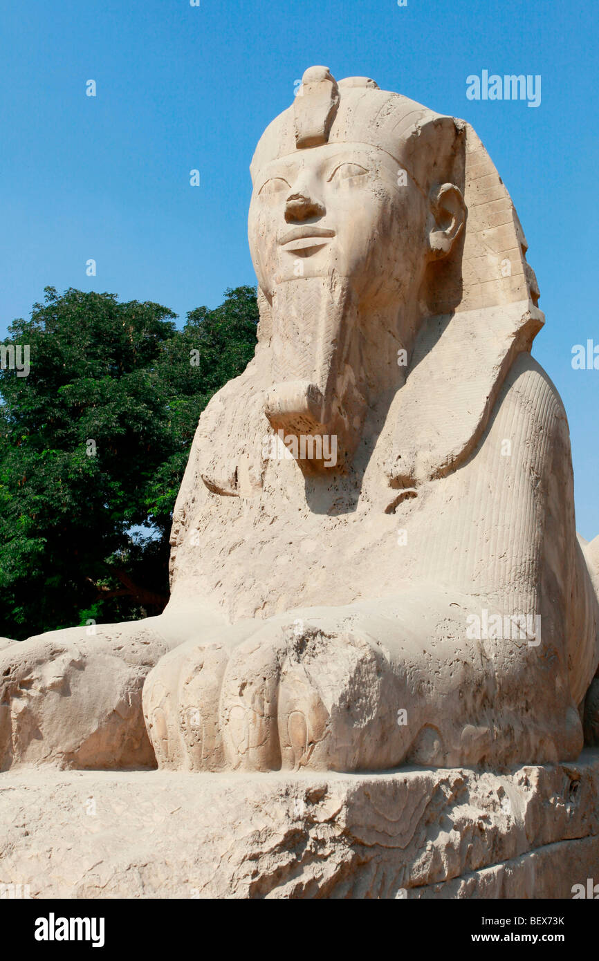 Alabaster Sphinx at Memphis, near Cairo, Egypt Stock Photo - Alamy