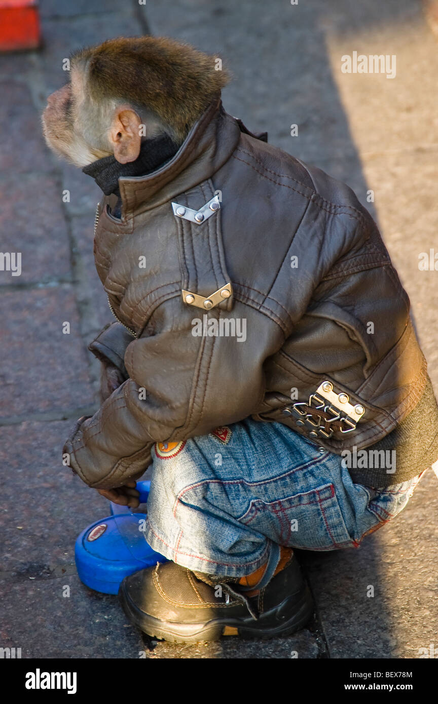 Clothes monkey hi-res stock photography and images - Alamy
