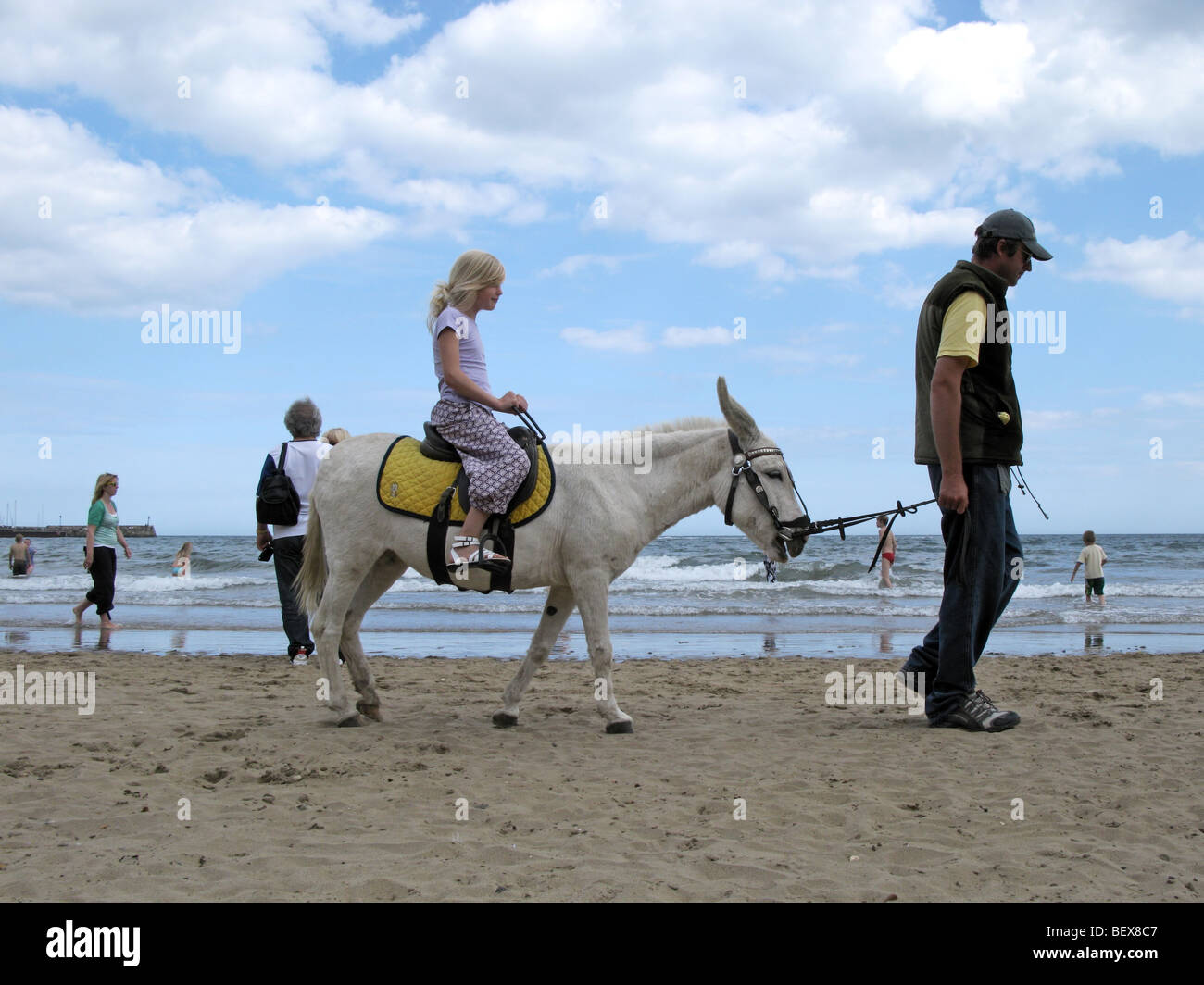 Donkey ride beach hi-res stock photography and images - Alamy