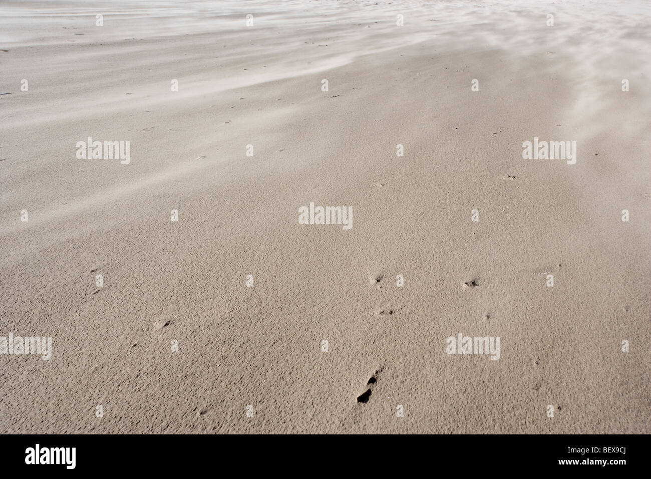 Poolbeg beach,Dublin, Ireland Stock Photo - Alamy