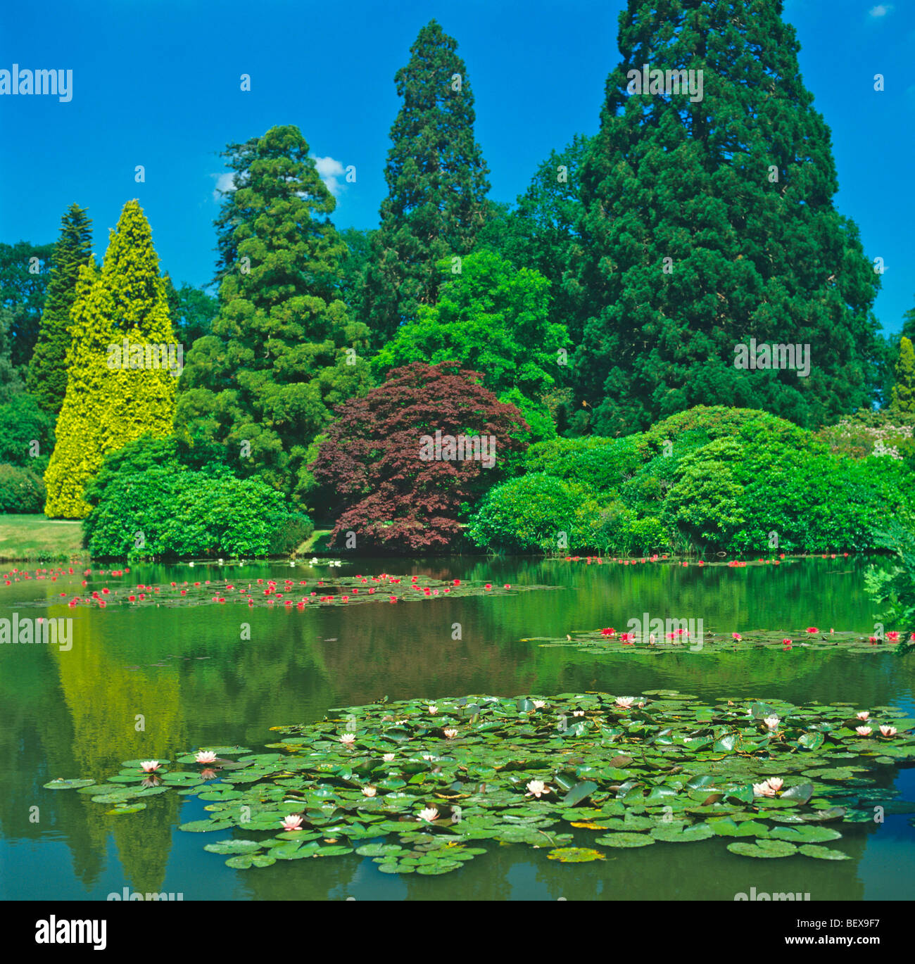 Sheffield park garden spring hi-res stock photography and images - Alamy