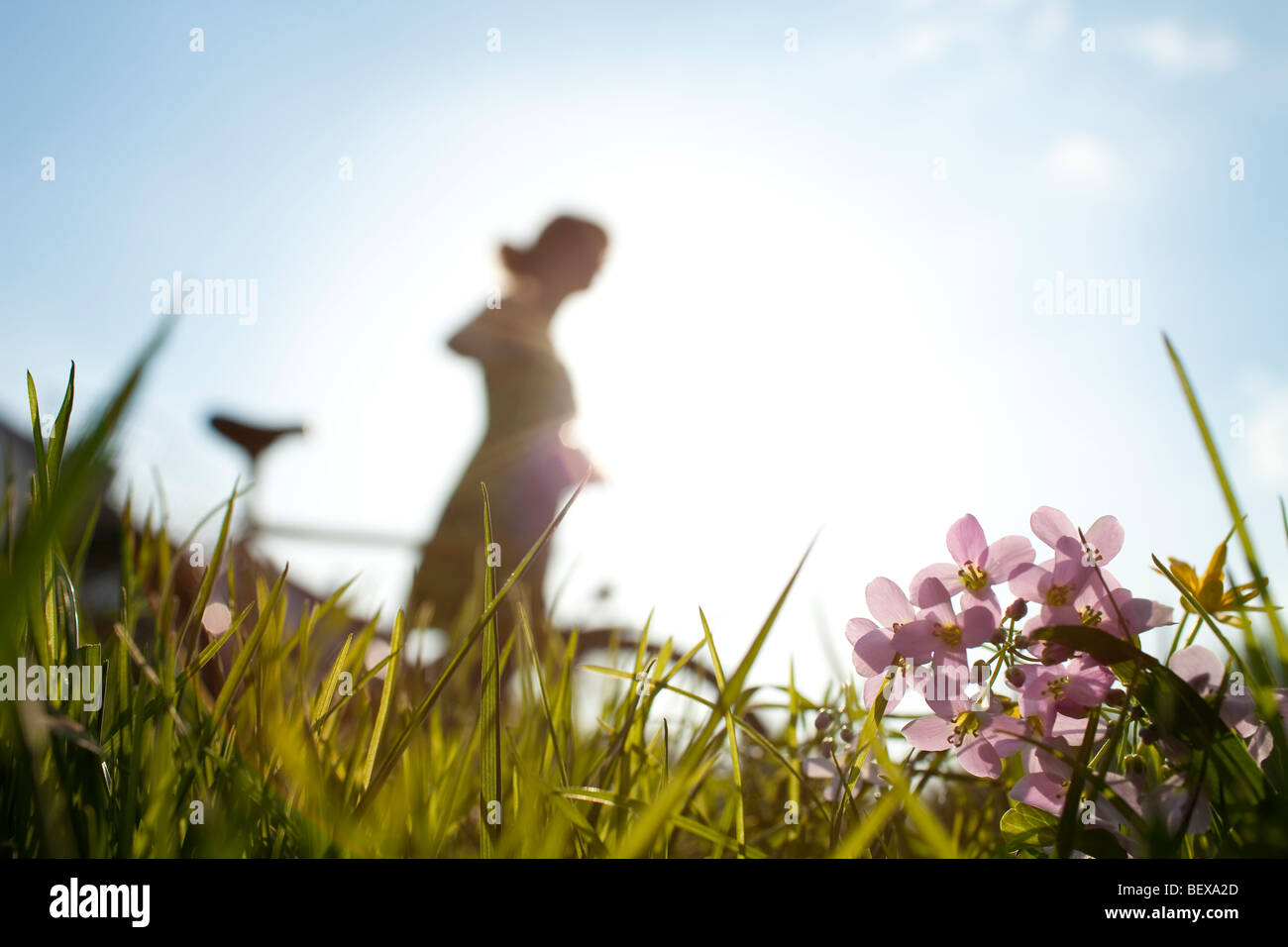 Nen symbol hi-res stock photography and images - Alamy