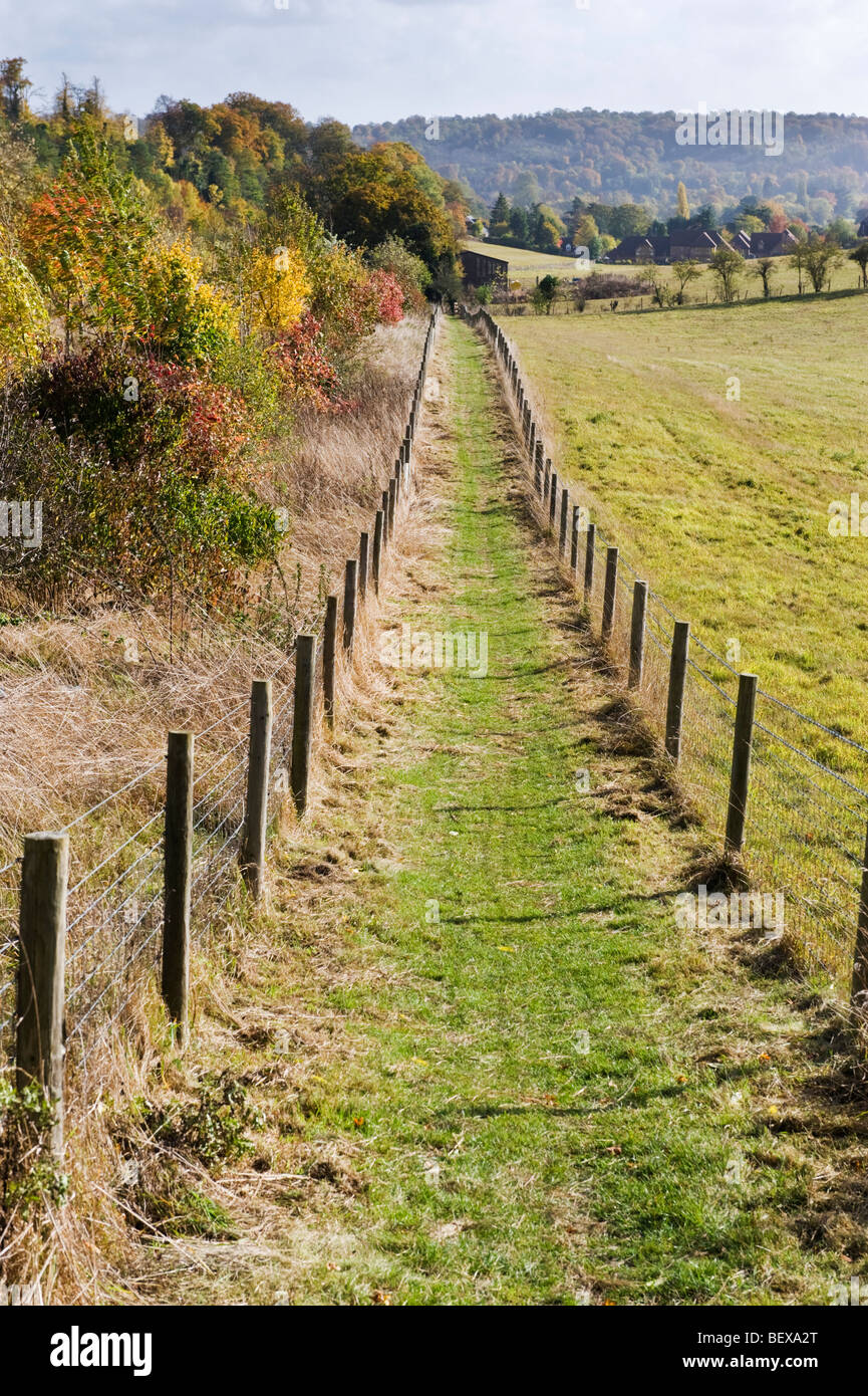 Between two fences hi-res stock photography and images - Alamy