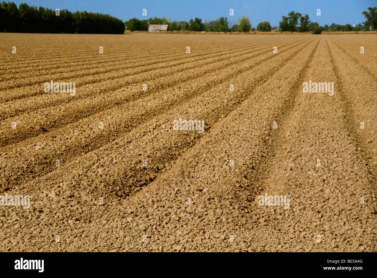 Empty dirt field tilled hi-res stock photography and images - Alamy