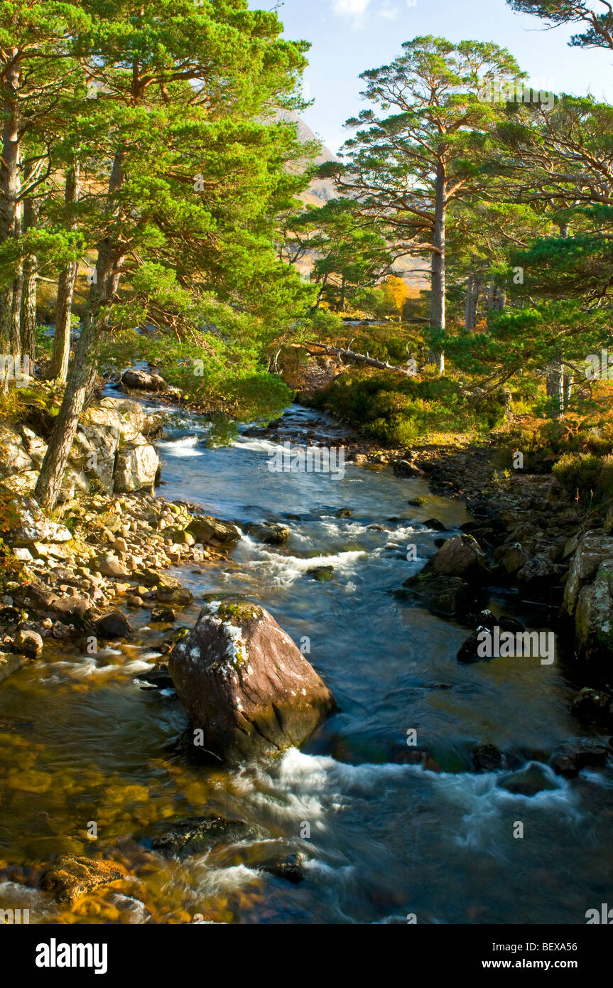 Isle Maree High Resolution Stock Photography and Images - Alamy