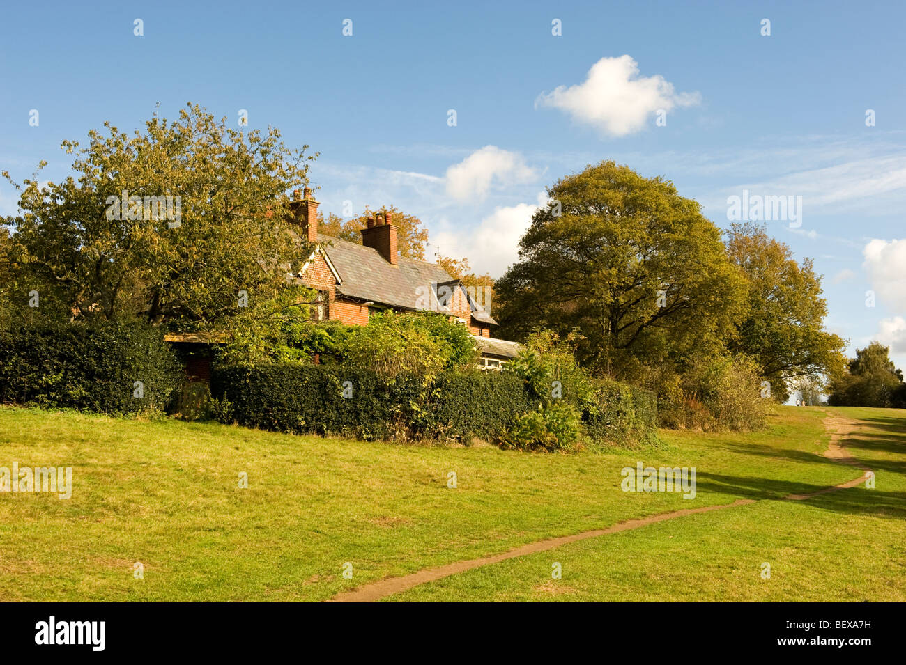 Amongst trees hi-res stock photography and images - Alamy
