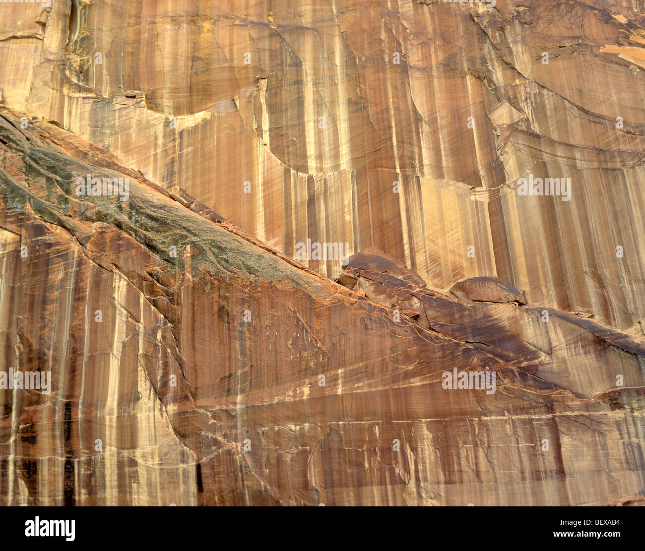 Desert varnish streaks sandstone cliff walls above Escalante River ...