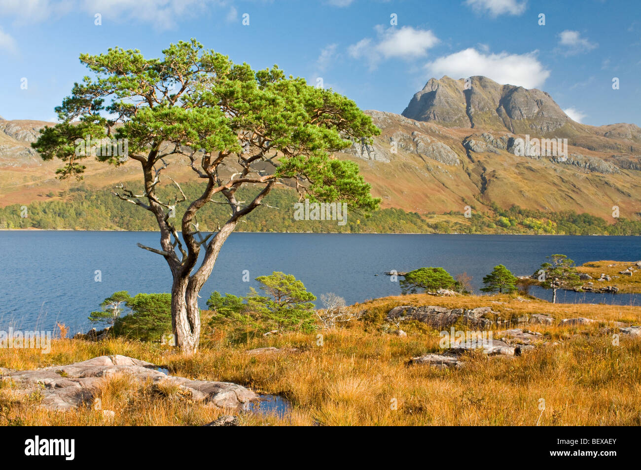 Loch Maree and Slioch mountain Wester Ross Scottish Highlands SCO 5412 ...