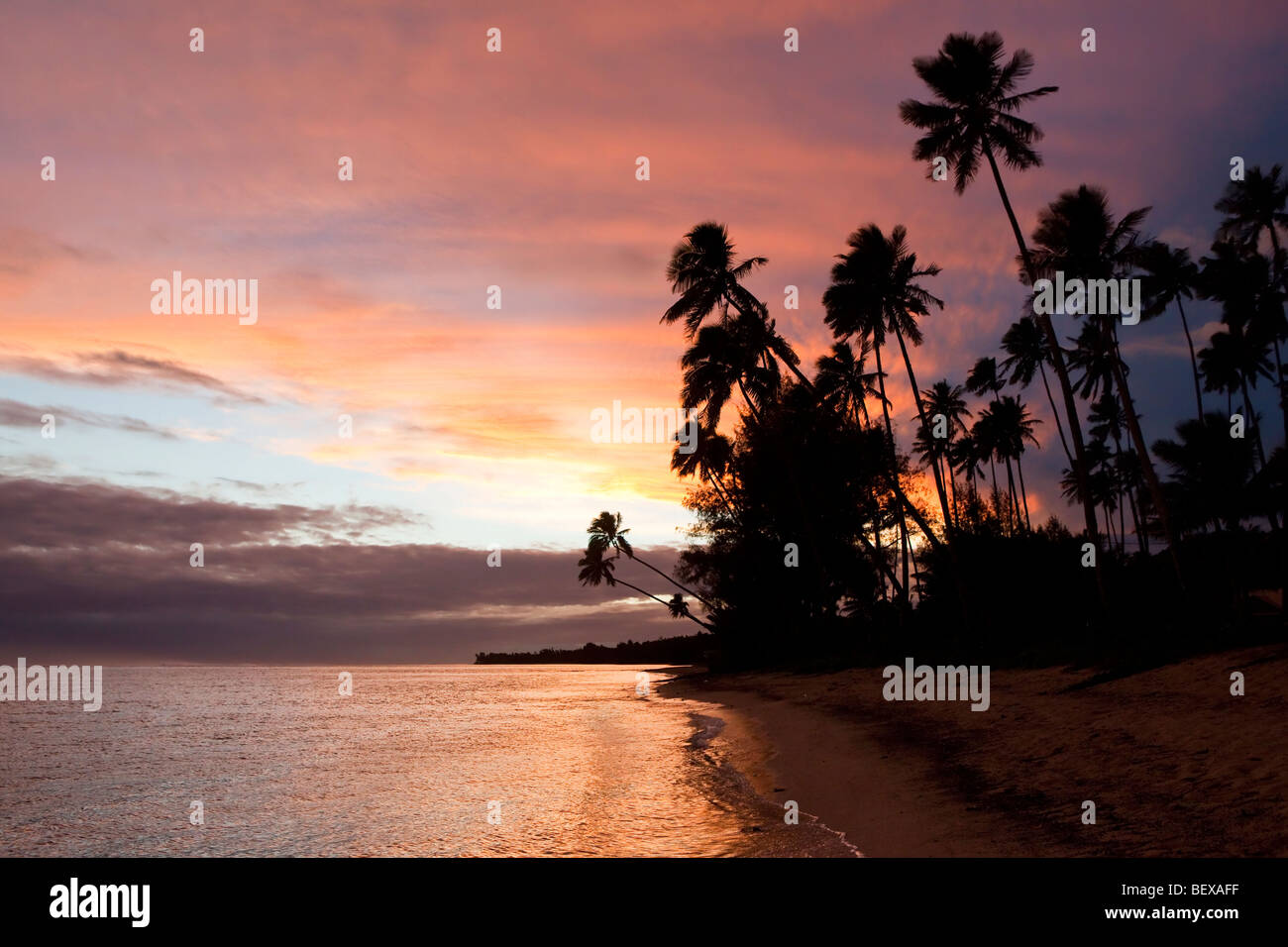Sunset sunset clouds trees scenic islands in the tropics hi-res stock ...